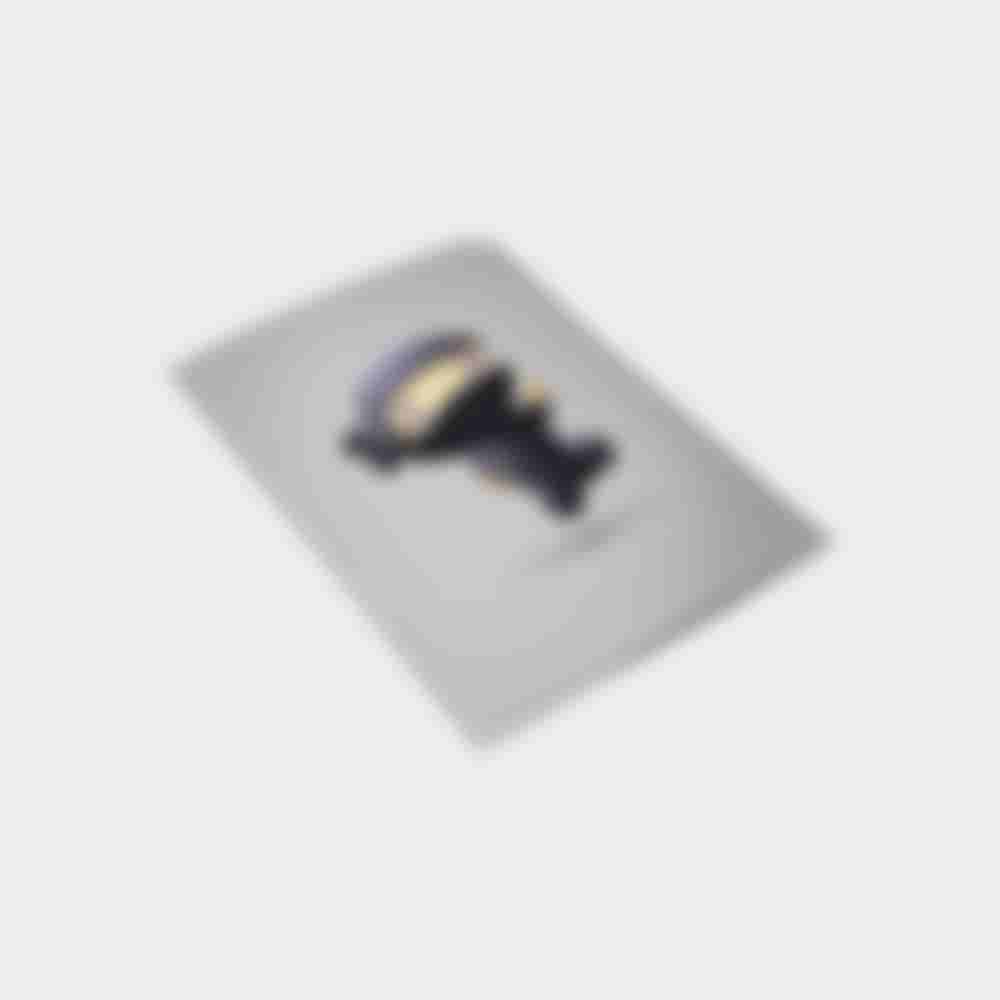 Flying Ninja – MAGFORCE